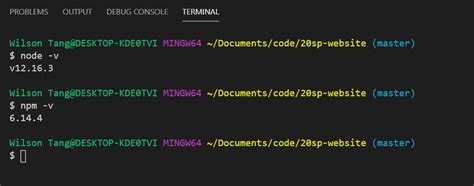 Node NPM Validator Setup Windows