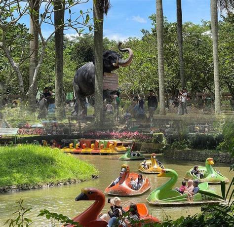 Ragunan Tetap Buka Di Bulan Ramadan Ebc Media