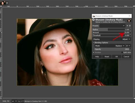 gimp s sharpen unsharp mask filter for sharpening photos davies