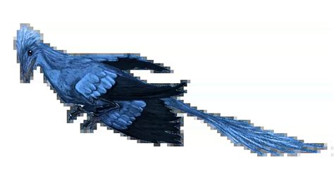 All About Microraptor