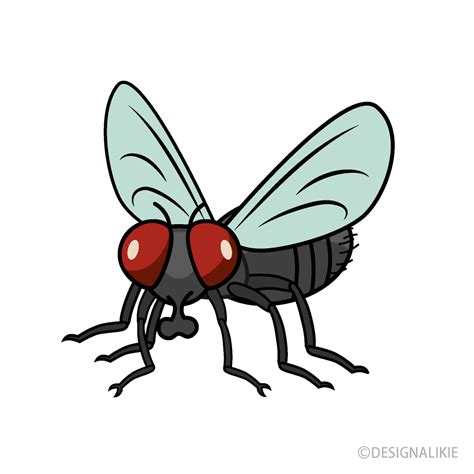 Fly Clipart