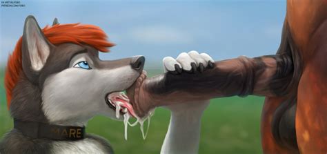 Rule 34 Animal Genitalia Animal Penis Anthro Anthro On Anthro Balls Blue Eyes Bodily Fluids