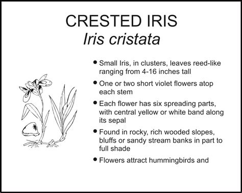 Crested Iris Smart Garden Signs