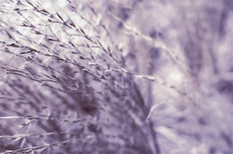 Premium Photo Vintage Rustic Grass And Field Abstract Nature Background