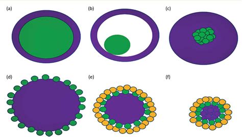Figure 3 From Microfluidics For Core Shell Drug Carrier Particles A Review Semantic Scholar