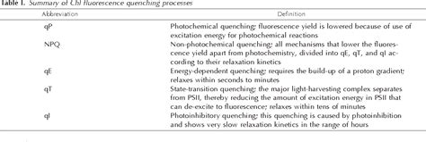 Immunoglobulin Lambda Chains Semantic Scholar
