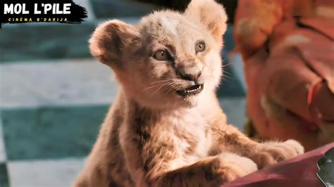 تتفاجئ فتاة بوجود أسد صغير داخل منزلهم 😱 فتقرر الإحتفاظ به، وحمايته من