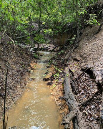 Modelo Australiana De Onlyfans Colormusic