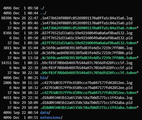 Since Have Updated Vs Code Insiders Yesterday I Could T Run It And It Seems To Make Memory