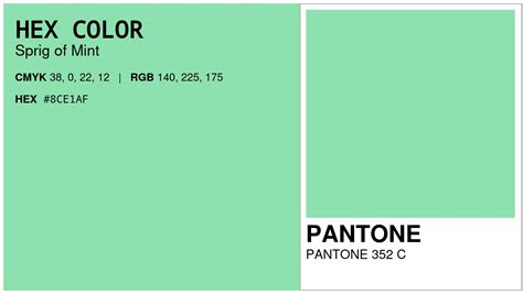 Hex 8ce1af To Pms Code Pantone 352 C Conversion Chart Pms Solid Coated