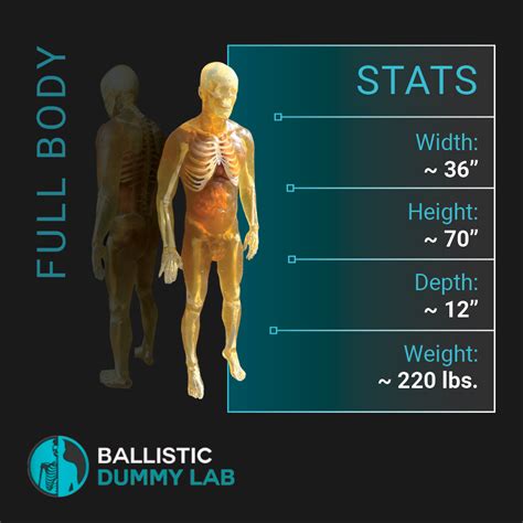 Ballistic Gel Male Body Dummy For Law Enforcement Military And Film Training Ballistic Dummy Lab