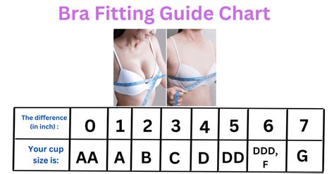 How Should a Bra Fit - 2023 Consumer Guide