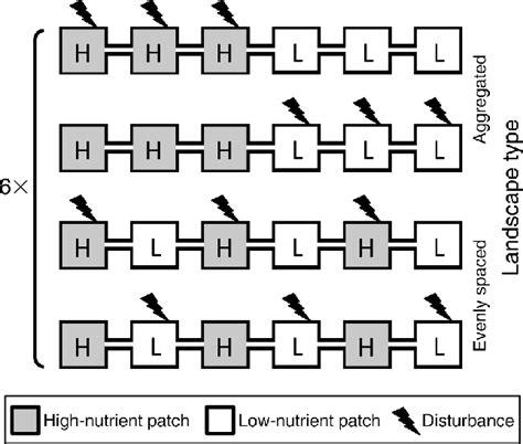 Setup Of The Microcosm Experiment Each Of The 24 Landscapes Consisted Download Scientific