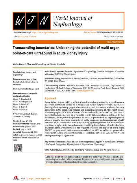 Pocus Ultrasound In Aki Pdf Medical Ultrasound Vein