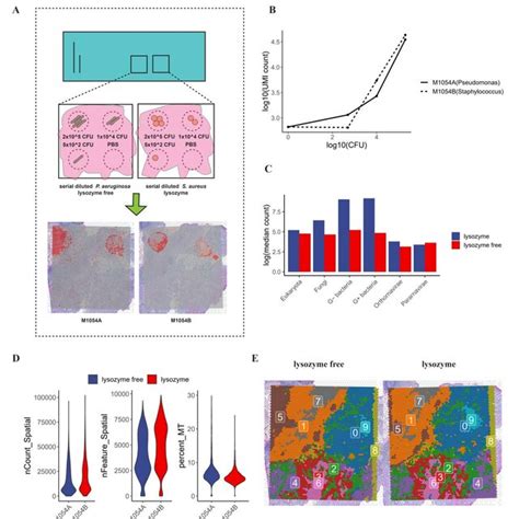 Host Microbe Interactions Revealed By Smt A Spatial Feature Plot
