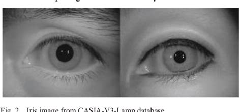 figure 1 from iris recognition based on convolutional neural network