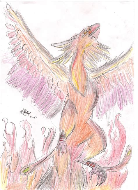 The Phoenix Drawing By Goldendragon DragoArt