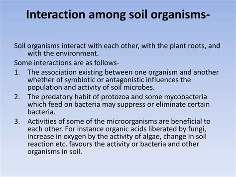 Soil Organisms Functions And Their Role In Soil Fertility PPTX