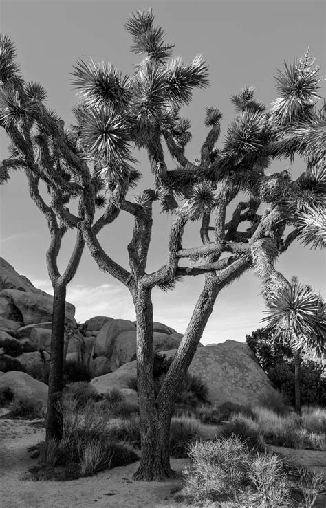 Our Ghosts Heartbreak And Cigarettes