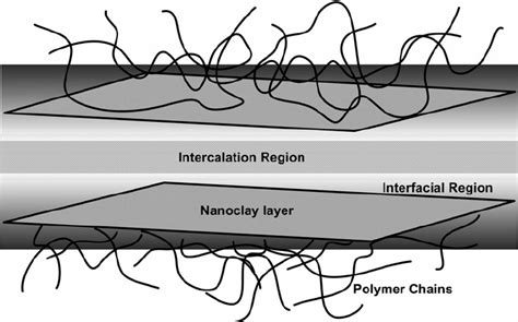 The Schematic Illustration For The Confinement Effect Of Nanoclay