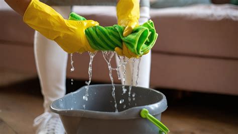 Should You Really Wash Your Brand New Mop Before Using It Here S What The Experts Say