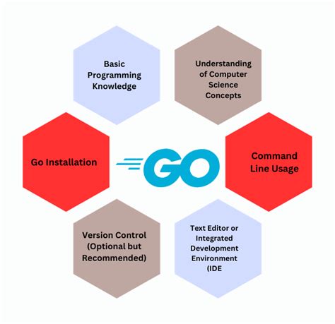 golang training in hyderabad best 1 training institute 2024