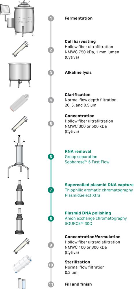 Three Step Supercoiled Plasmid Dna Purification Cytiva