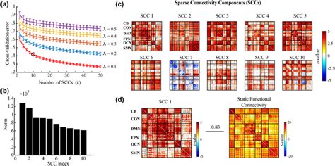 Extracting The Group‐level Sparse Connectivity Components Sccs Of Download Scientific Diagram