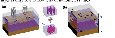 A Schematic Diagram Of The Chiral Metasurface Absorber Composed Of A Download Scientific