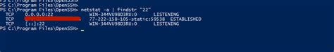 How To Raise OpenSSH On Windows Zomro