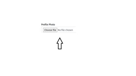 Rename And Style Choose File Button In Forms In Toolset Toolset