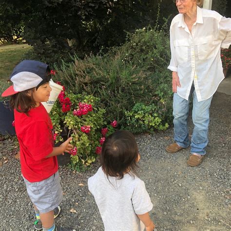 Grandma Dees Sauvie Island Blueberry Farm Portland Updated 2021 All