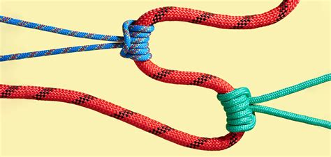 tailoring partnership programs in highly regulated industries