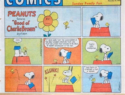 Peanuts Comic Color