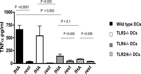 Ha Induced Production Of Tnfα Is Largely Dependent On Tlr 4 Wild Type