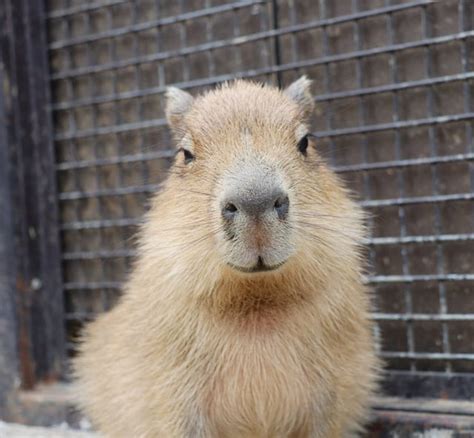 The Face When You Compliment An Infj Rhealthyinfjs