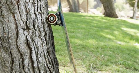 How To Repair Split Tree Trunks EHow UK