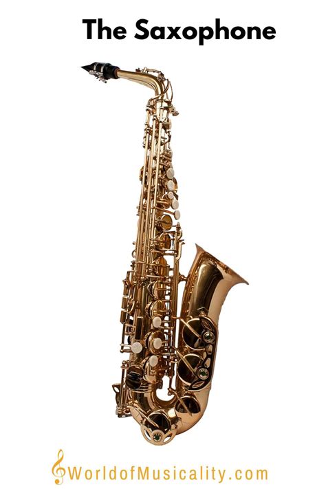 What Is A Saxophone A Beginner S Guide To This Great Jazz Icon