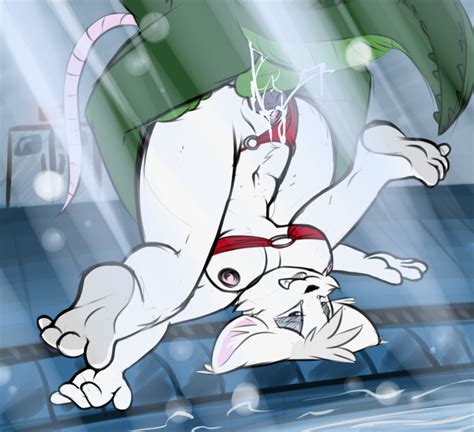 Rule 34 Anthro Barefoot Bikini Aside Breasts Crocodile Cum Feet Feline Female Fur Furry