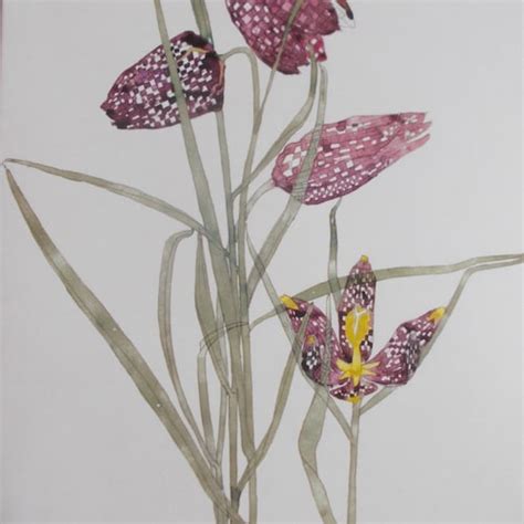 Art Nouveau Charles Rennie Mackintosh Japanese Witch Hazel Etsy