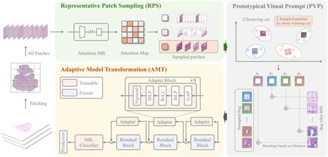 Prompt Guided Adaptive Model Transformation For Whole Slide Image Classification