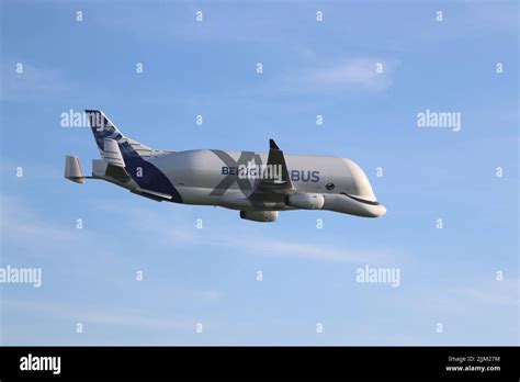 The New Airbus A330 Beluga Xl Landing At Hawarden Airport In North