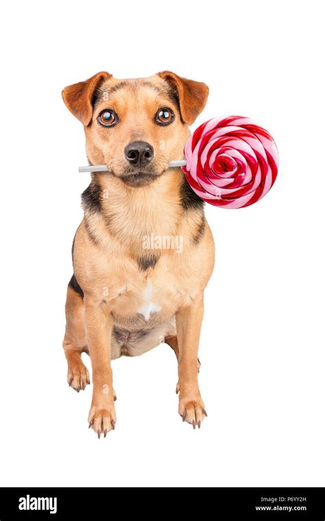 Big Jack Cut Out Stock Images And Pictures Alamy