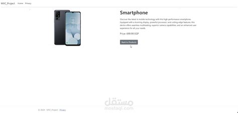 ASP NET Core Demo Project مستقل