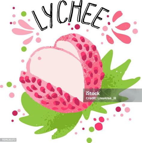 벡터 손 그리기 컬러 무화과 그림입니다 펄프와 과일 뼈와 녹색 잎 보라색 푸른 복숭아 흰색 배경에 무화과와 신선한 열대 과일 그림 건강한 생활방식에 대한 스톡 벡터 아트 및