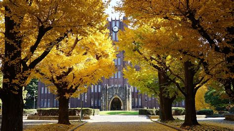 最新版世界大学排行榜出炉，日本只有东大和京大挺进前200名