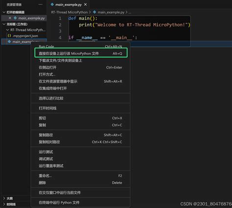 Vscode开发micropython的配置（部分详细过程）vscode Micropython Csdn博客