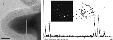 Molecular Dynamics Simulation For Arrangement Of Nickel Atoms Filled In Carbon Nanotubes