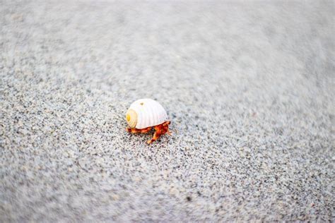 Errors In Rust A Deep Dive The Halcyon Blog