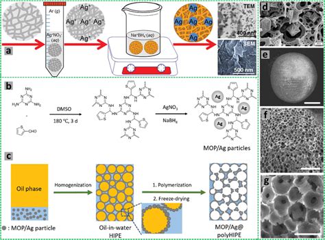 A Schematics Of The Ag Nps‐decorated Emulsion‐templated Hierarchically
